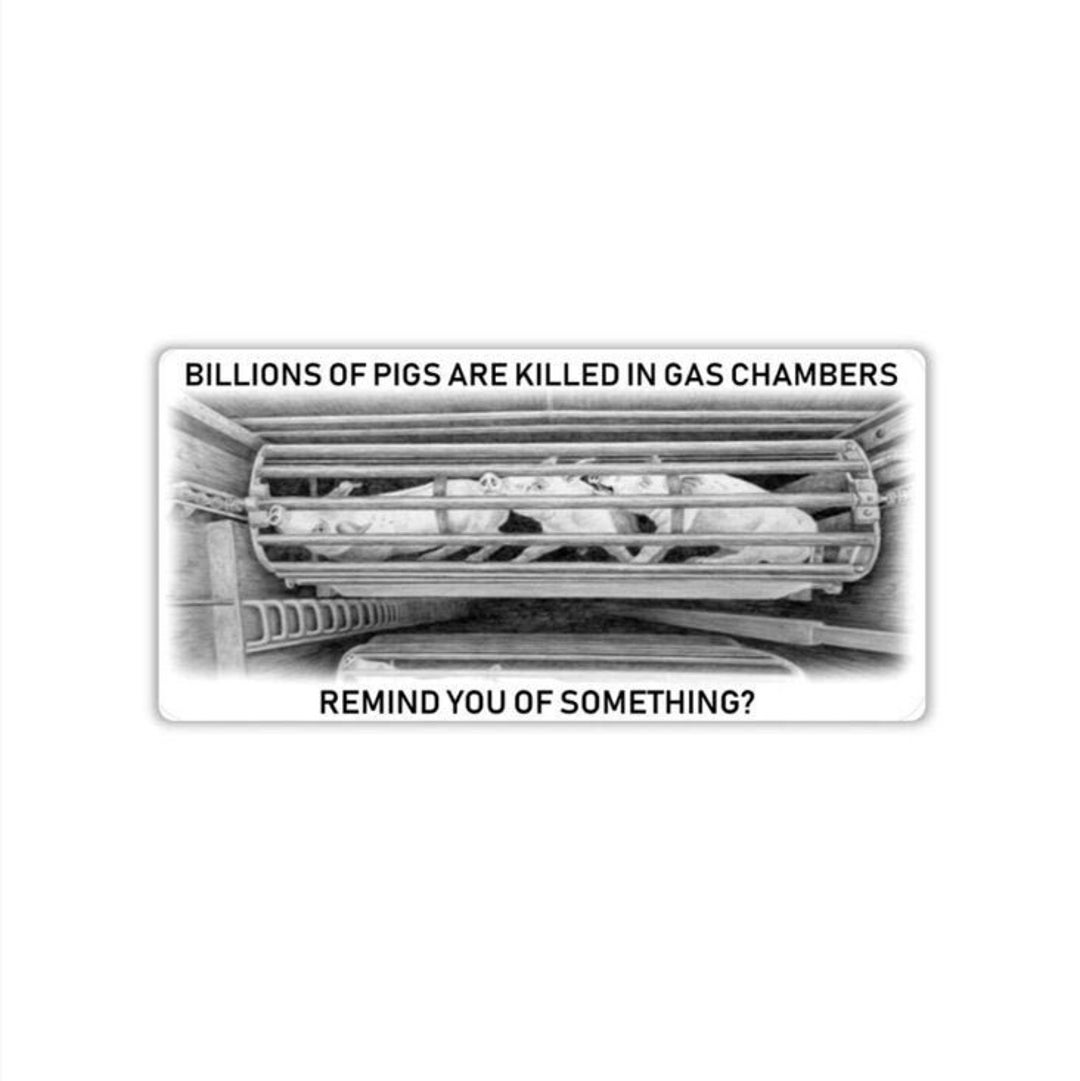 Vegan Activist Stickers Pack Pig Descending Into a Gas Chamber Billions ...