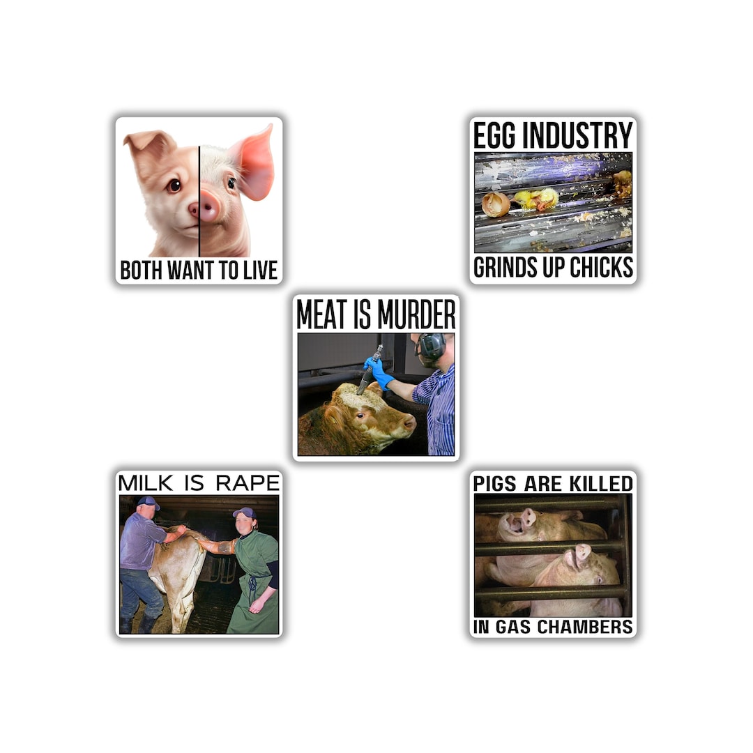 Vegan Activist Stickers Mix Pack (dog Pig Both Want to Live, Egg ...