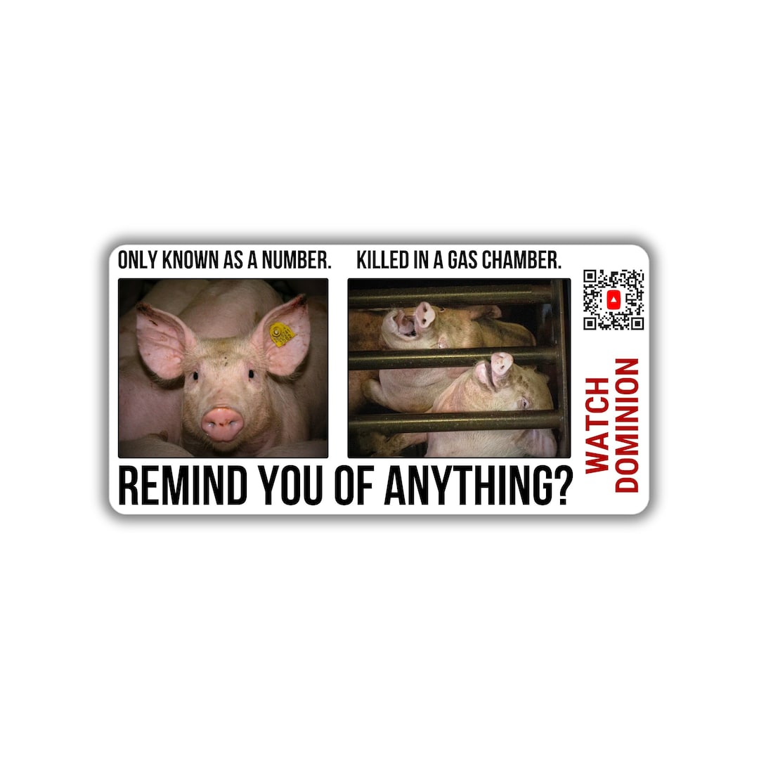 Vegan Activist Stickers Pack Activism Pig Sticker Pig Gas Chamber ...
