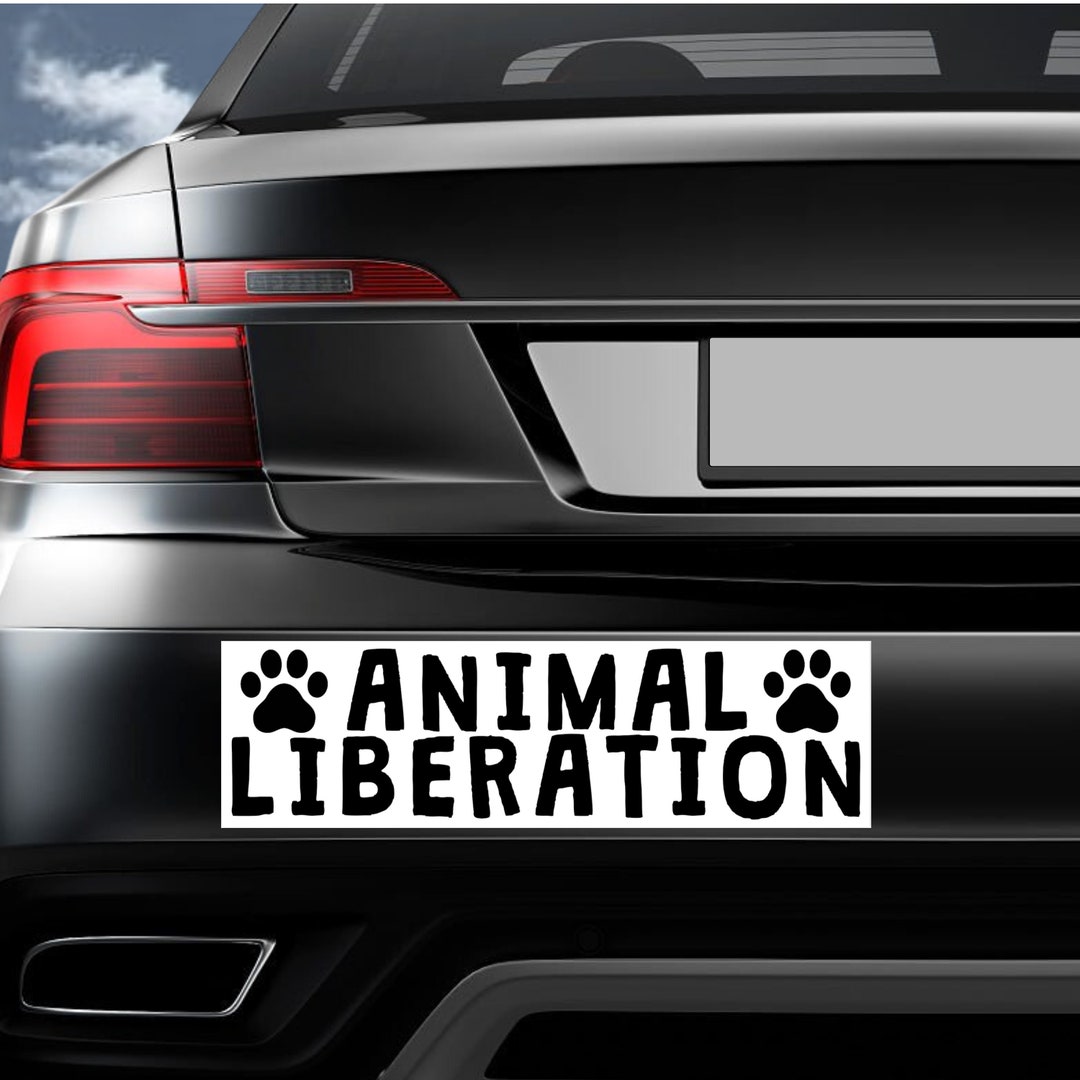 Car Sticker Bumper Vegan Activist Sticker Animal Liberation Paws Cute ...