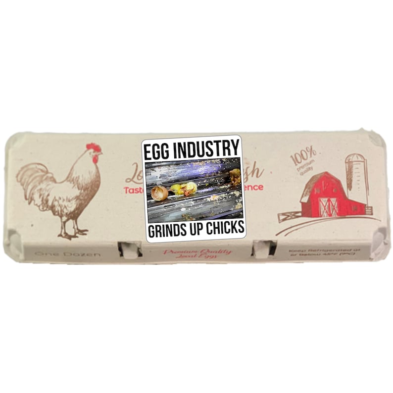Vegan Activist Stickers Mix Pack (dog Pig Both Want to Live, Egg ...