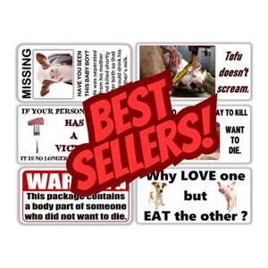 Animal Rights Car Bumper Sticker for Vegan Activists Sticker Waterproof ...