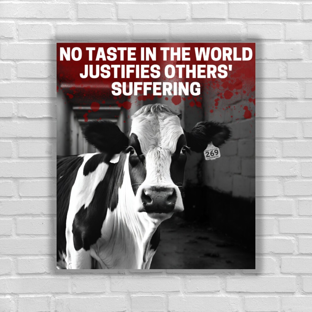 Vegan Sticker No Taste in the World Justifies Others Suffering Cow in ...