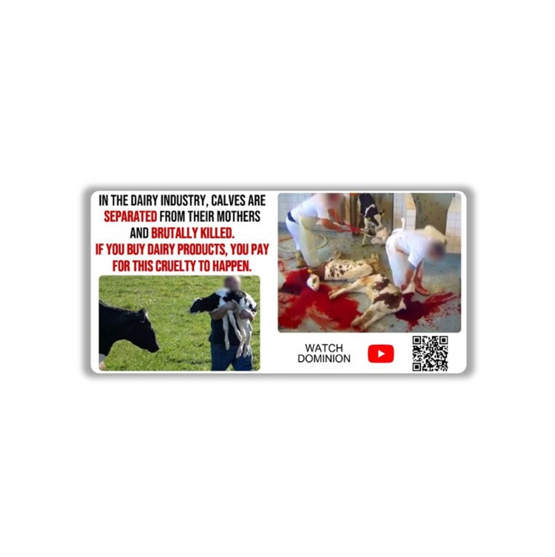 Vegan Activist Stickers Pack Calf Taken From Mother in the Dairy ...