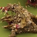 Bones Abomination Model Pack 1 Monster 6 Terrain by Print Your Monsters ...