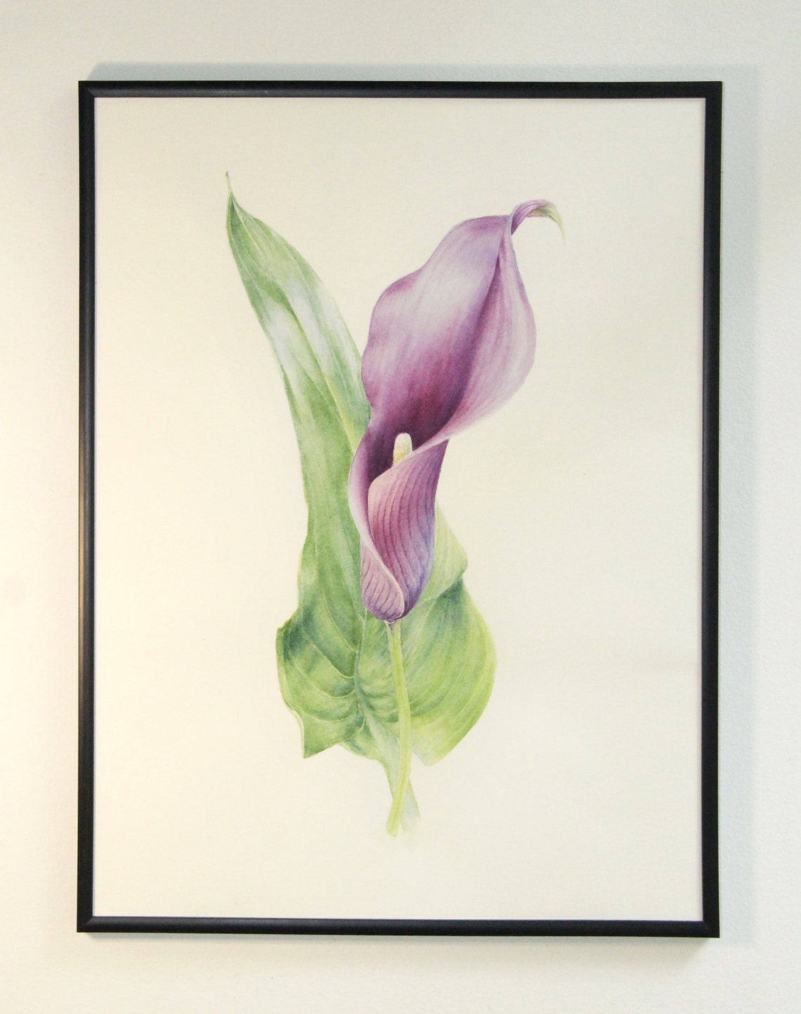 Original watercolor art Calla lily Botanical illustration | Etsy