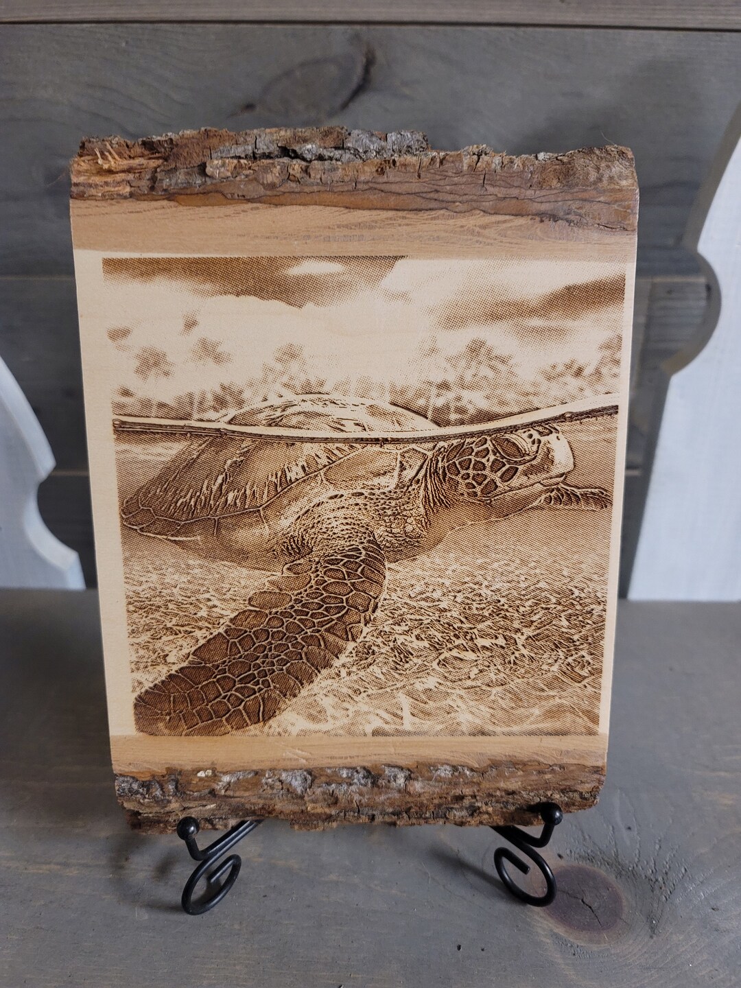 3d Illusion Turtle Engrave - Etsy