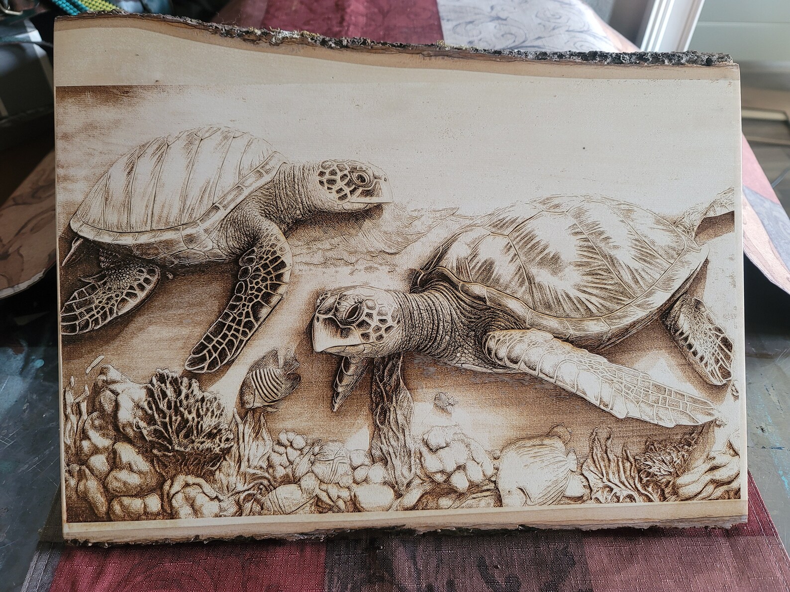 3d Turtle Illustration Engrave - Etsy