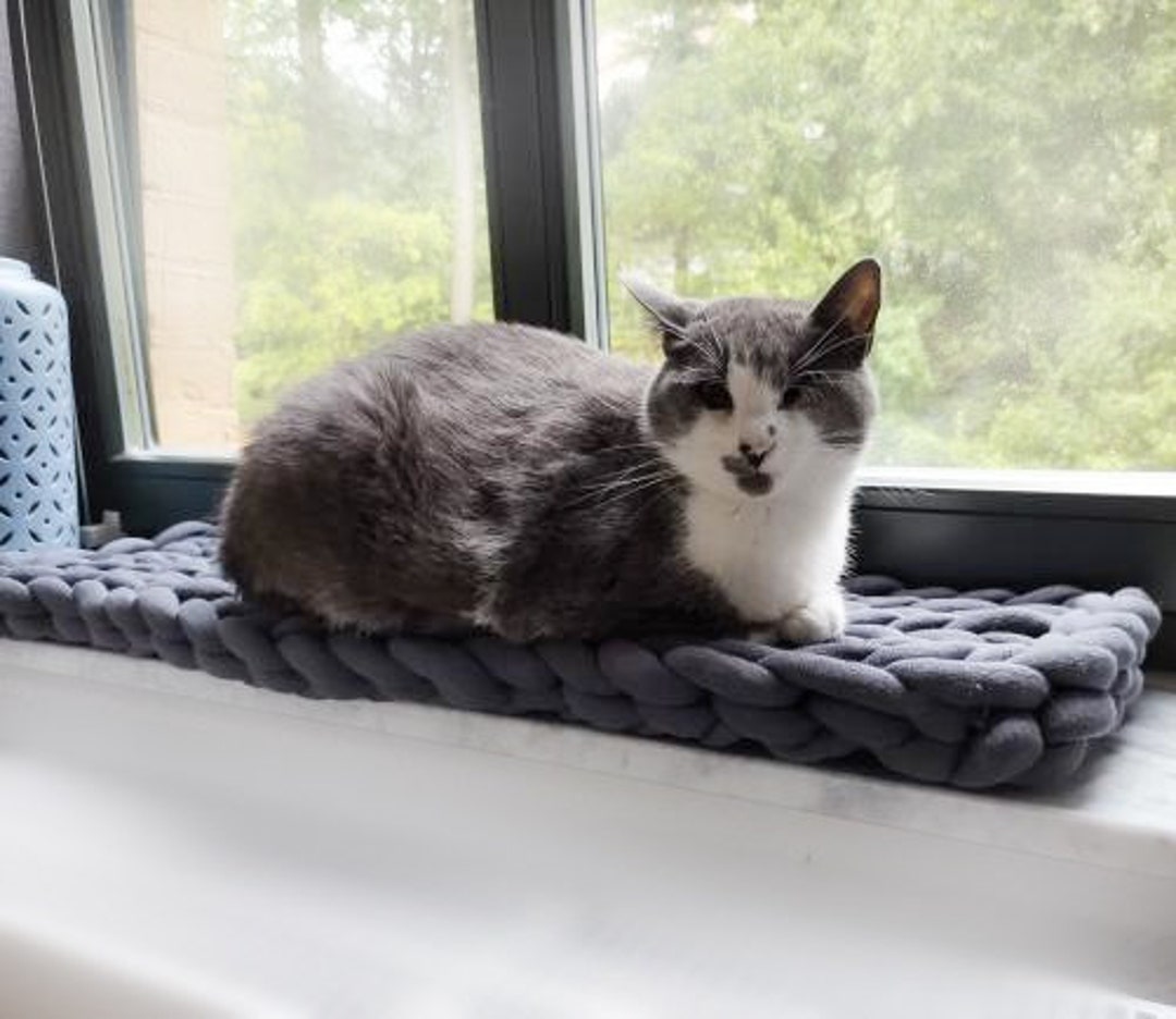 Cat Bed Window Sill Window Sill Lounger Longitudinal Pattern Window ...