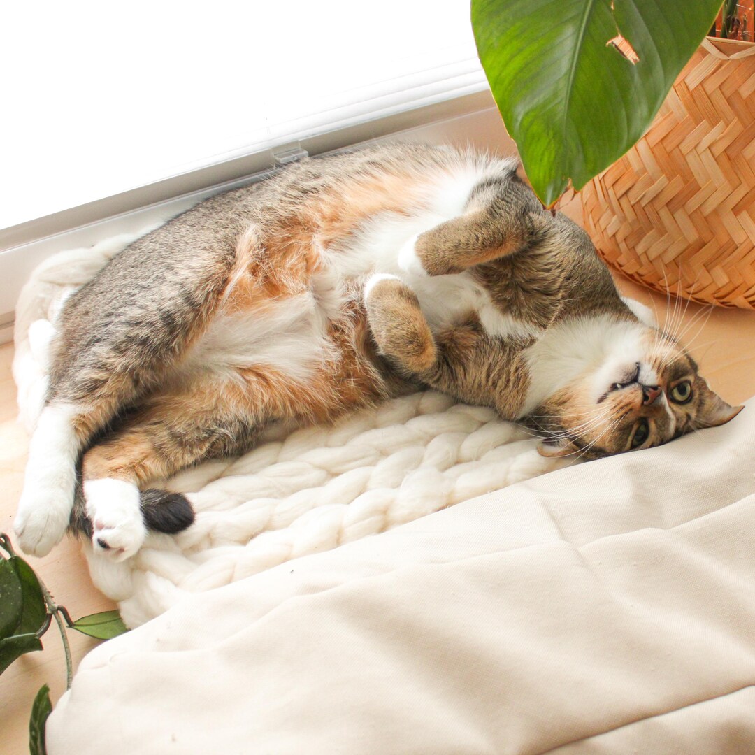 Window Sill Bed in a Lengthwise Pattern | Cat Bed | Lounger | Cat Mat ...