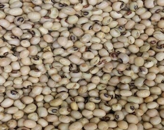 Pigeon Peas Seeds Gungo Peas Gandules Rare Seeds Fast Germination 75 ...