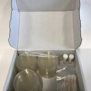 Bacteria Science Kit Petri Dishes With Agar Educational STEM Science ...