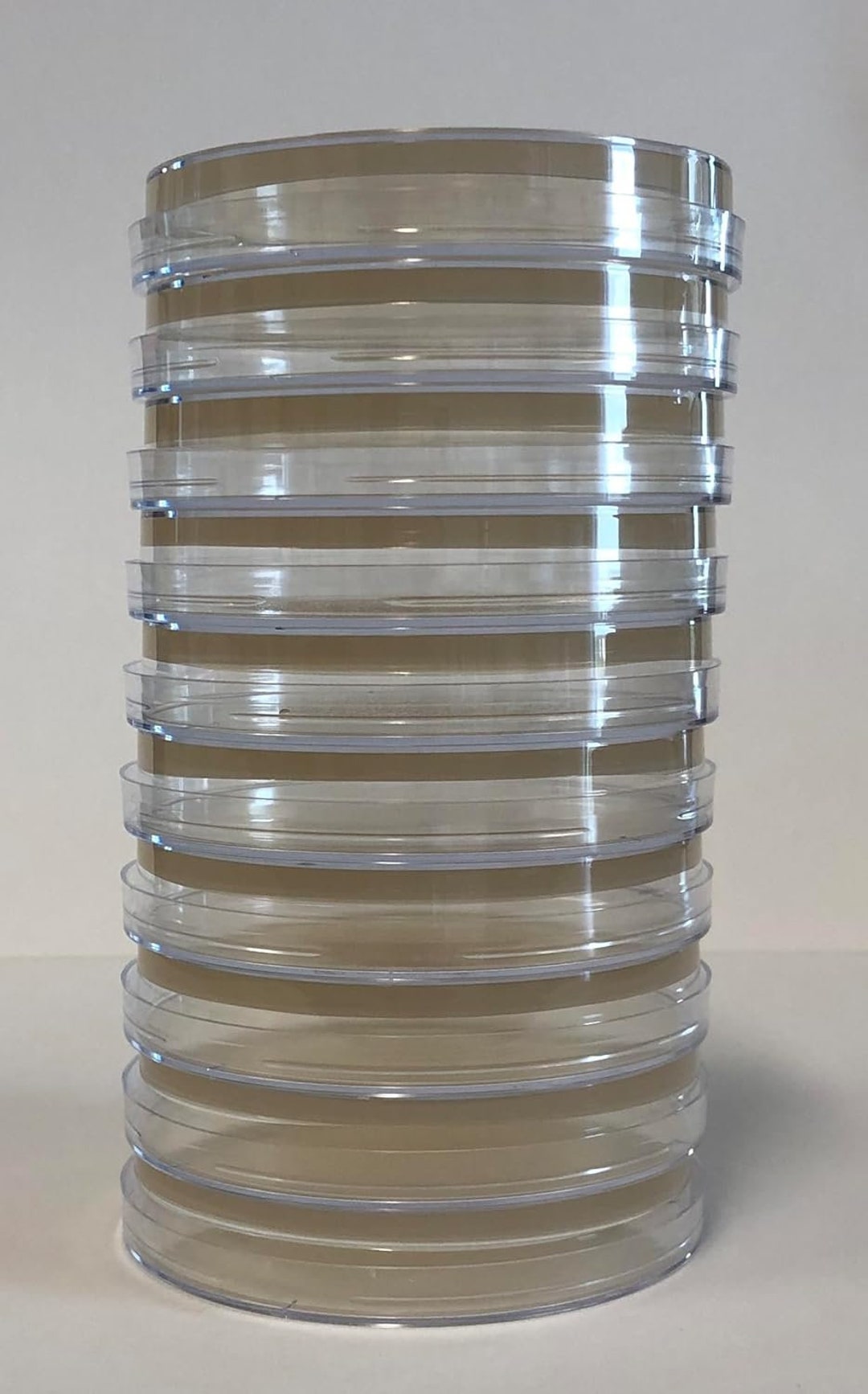10x Pre-poured Nutrient Agar Dishes in 90mm Plates - Etsy