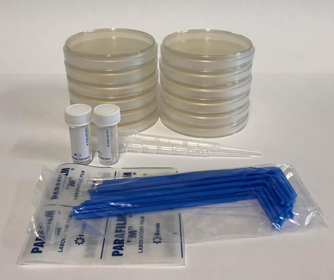 Bacteria Science Kit Petri Dishes With Agar STEM Science Fair Project ...