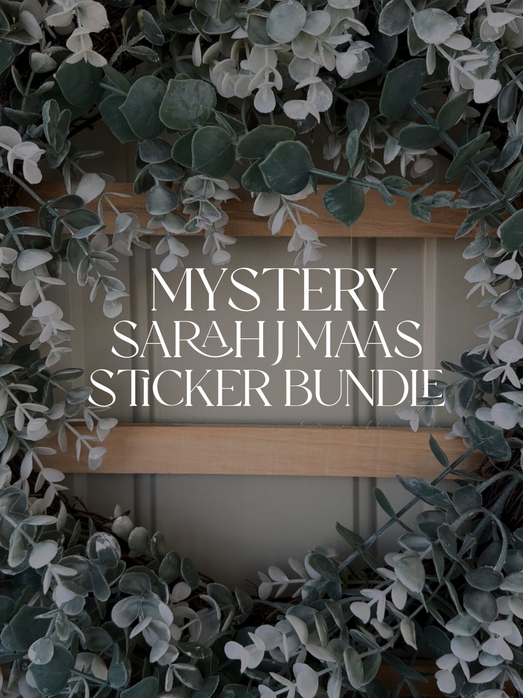 10 Mystery SJM Stickers / Officially Licensed Sarah J Maas - Etsy