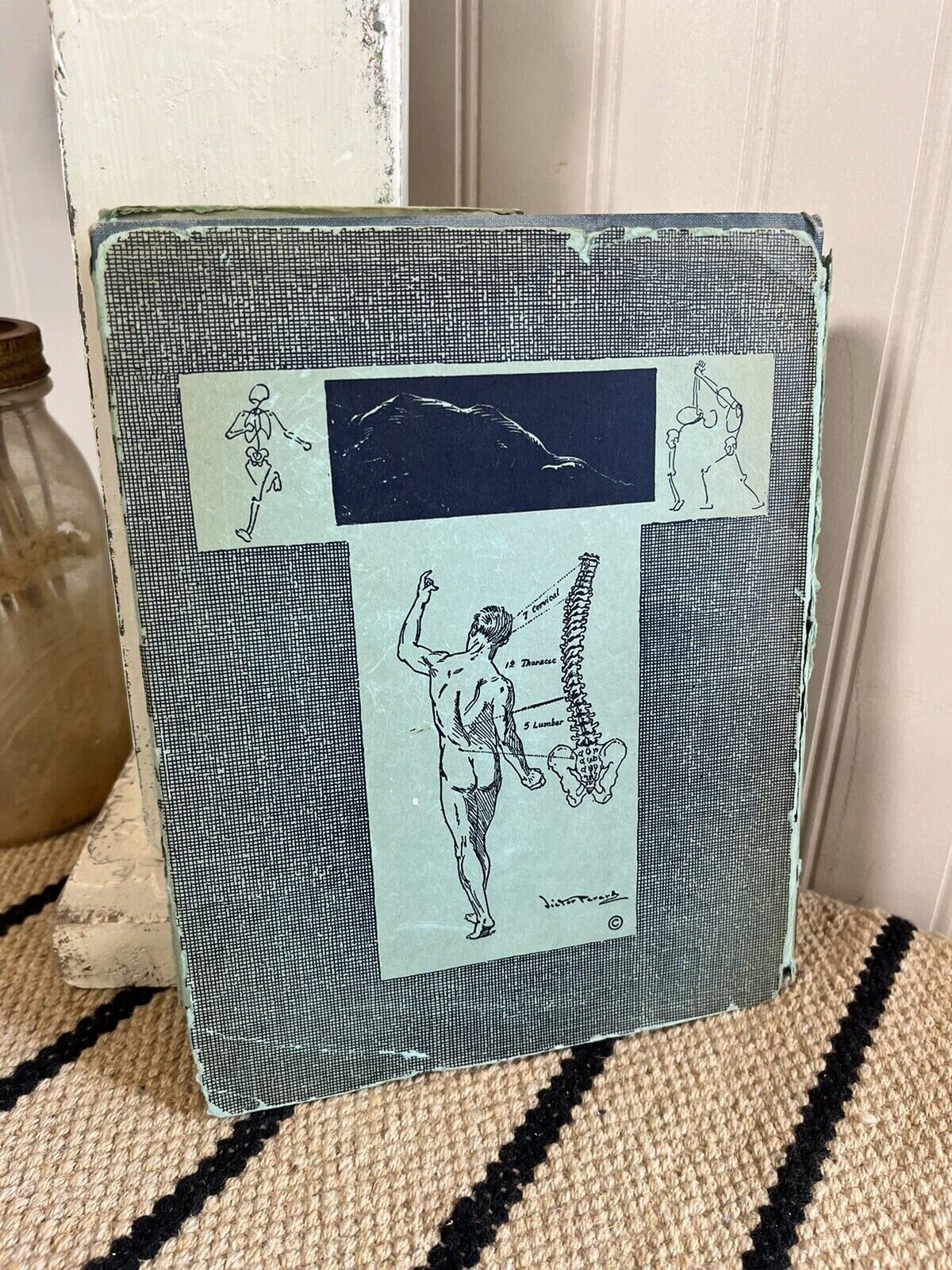Anatomy And Drawing By Victor Perard 1928 1946 Hardback Book With Dust
