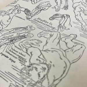 Anatomy and Drawing by Victor Perard 1928 1946 Hardback Book With Dust ...