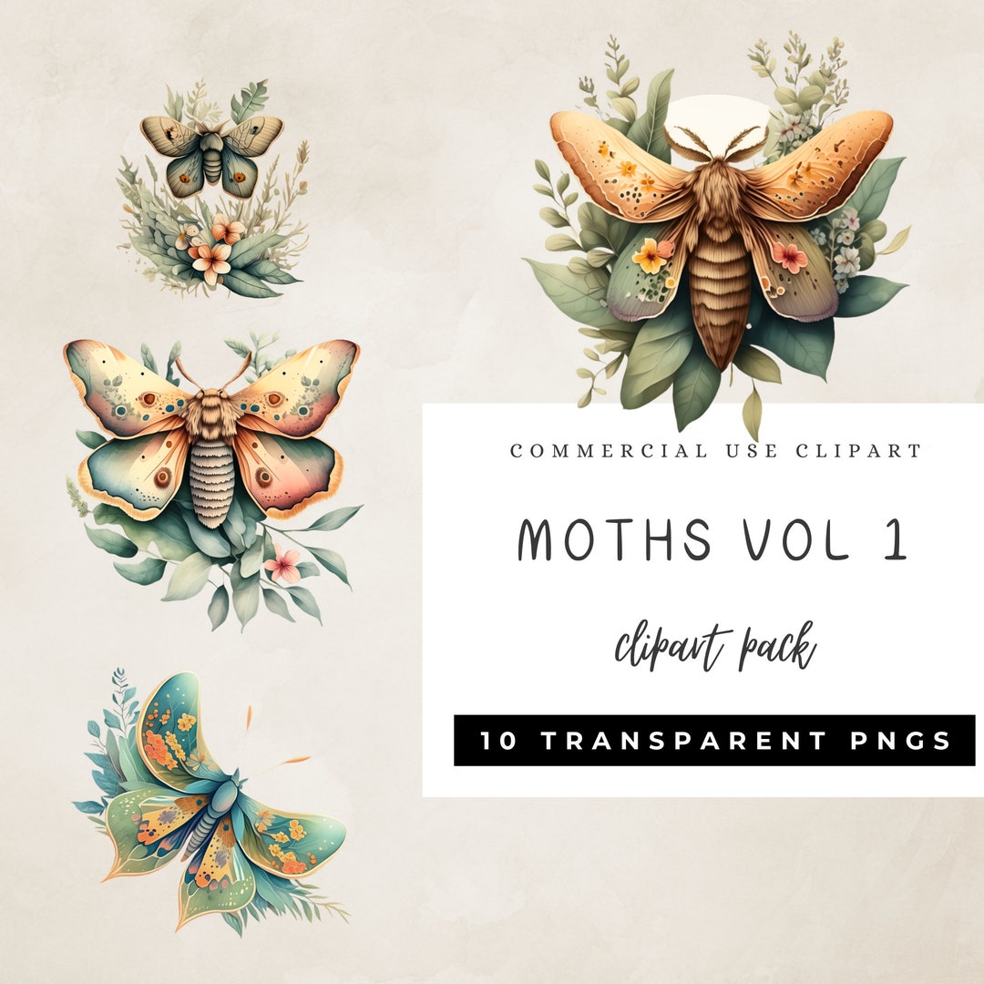 Moths Clipart Pack - 10 Digital Style PNGS, Commerical Use, Nature ...