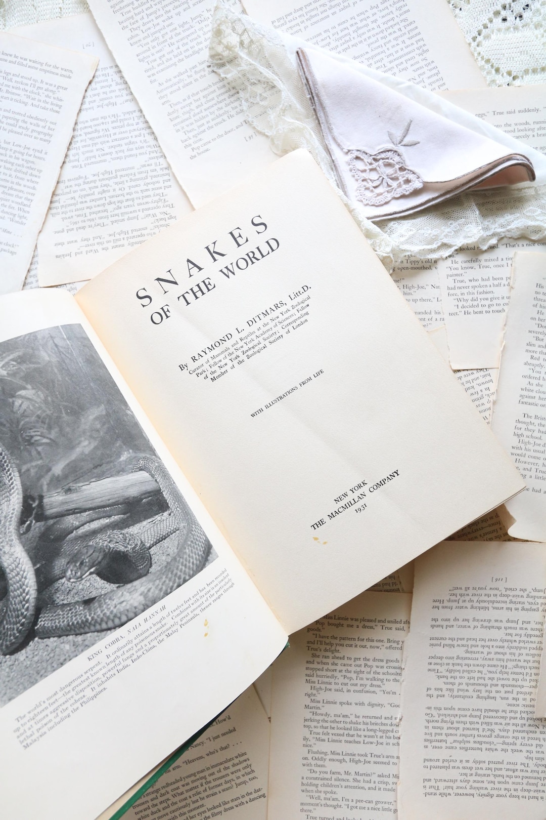 Vintage 1930's Book - Snakes of the World - Etsy