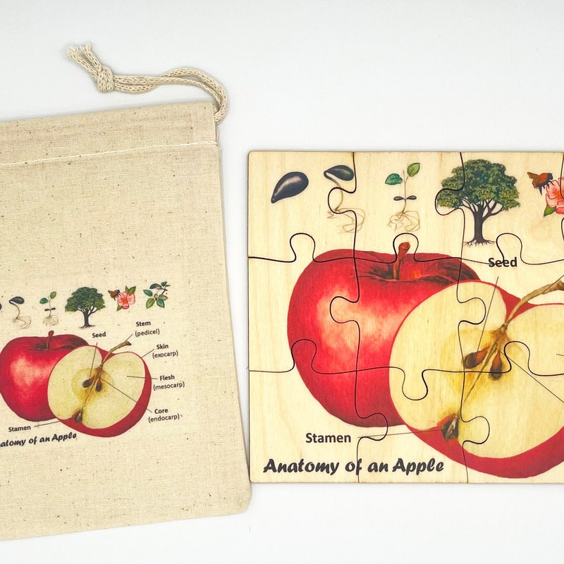 Apple Puzzle - Etsy