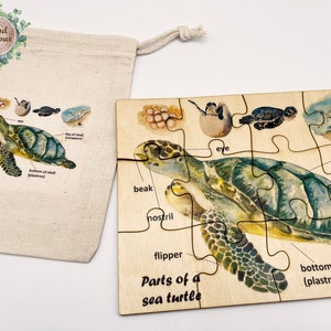 Montessori Wooden Parts of Sea Turtle Jigsaw Puzzle/ Homeschool ...