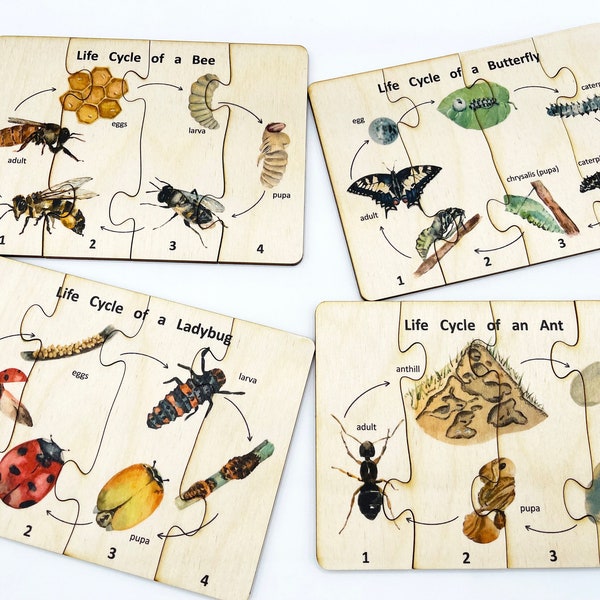 Life Cycle Puzzle - Etsy