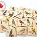 Wooden Birds Memory Game, Montessori Toys, Wood Animals Matching Cards ...