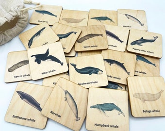 Whales Flashcards - Etsy
