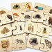 Montessori Wood Animals Puzzle/ Animals Habitat Sorting Game/ - Etsy