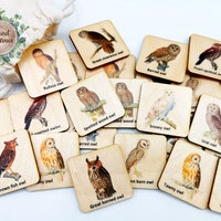 Bird Unit Study: Anatomy, Life Cycle, Homeschool Printable (instant ...
