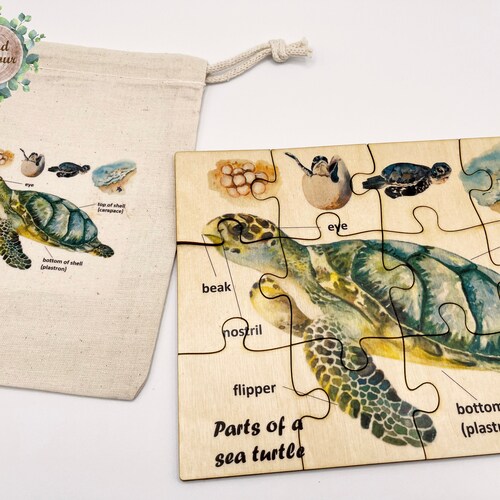 Wooden Montessori Sea Animals Memory Game Educational - Etsy