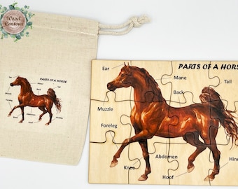 Montessori Wooden Seashell Anatomy Jigsaw Puzzle/ Homeschool | Etsy