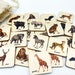 Montessori Wooden Safari Animals Matching Cards/ Bilingual - Etsy