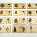 Montessori Wood Tree Leaves Matching Puzzle/ Homeschool Preschooler ...