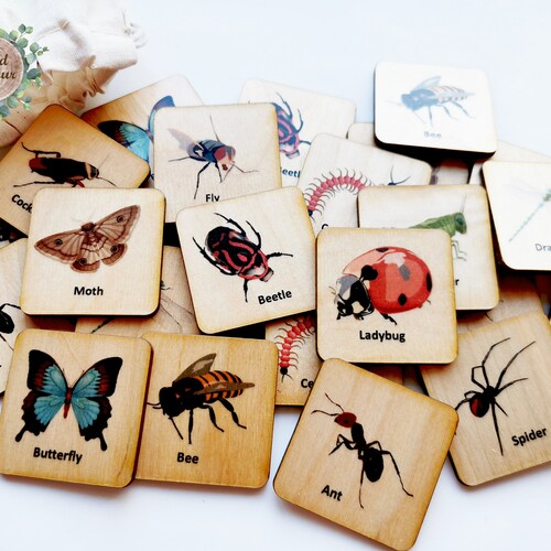 Wooden Insect Bug Memory Game Montessori Insect Bug Matching | Etsy