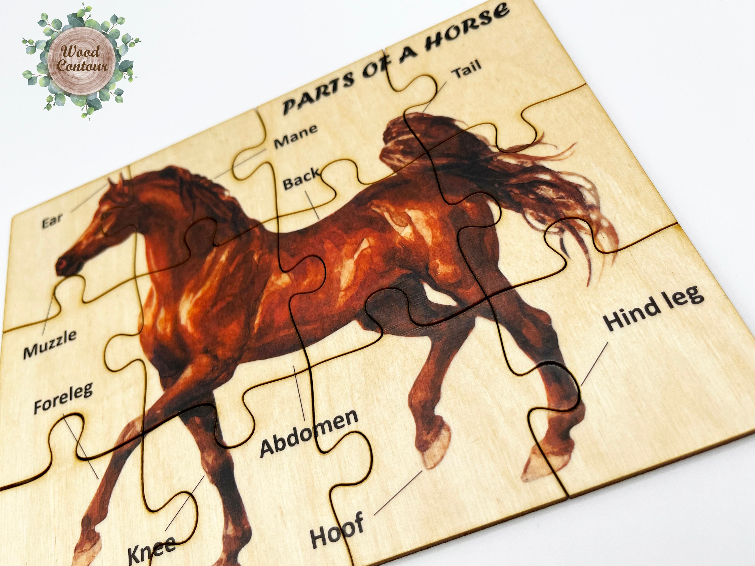 Montessori Wooden Anatomy Horse Puzzle/ Homeschool Preschool - Etsy