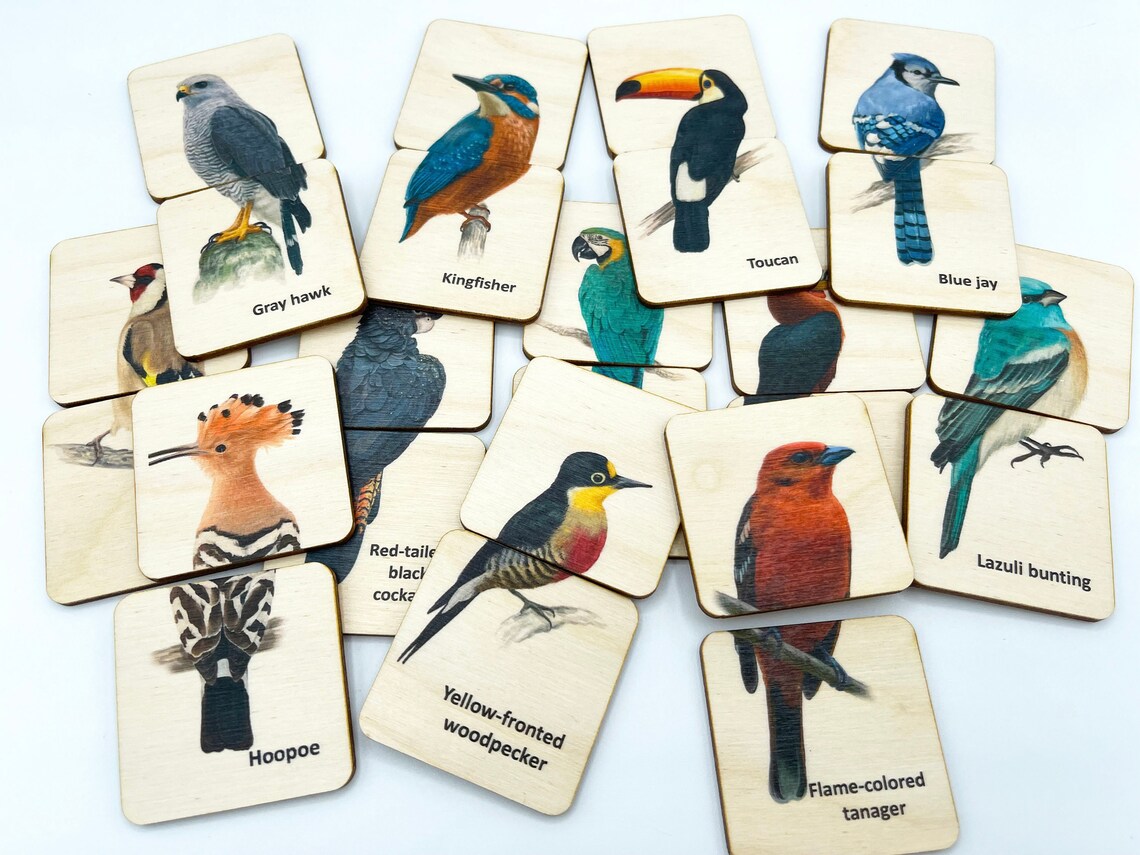 Montessori Wood Birds Puzzle Game / Homeschool Preschool - Etsy