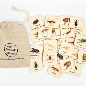 Wooden Insect Bug Memory Game, Montessori Insect Bug Matching Cards ...
