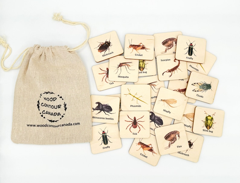 Wooden Insect Bug Memory Game, Montessori Insect Bug Matching Cards ...