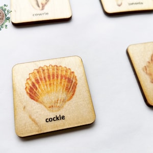 Montessori Wooden Seashell Matching Cards/ Homeschool Preschooler ...