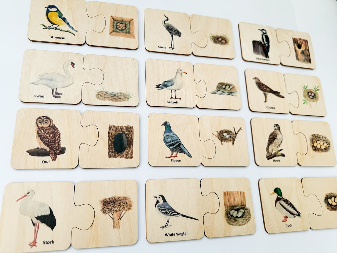 Montessori Wood North American Birds and Nests Matching Puzzle ...