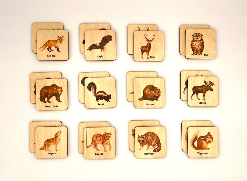 Montessori Wooden North America Animals/ Woodland Animals | Etsy