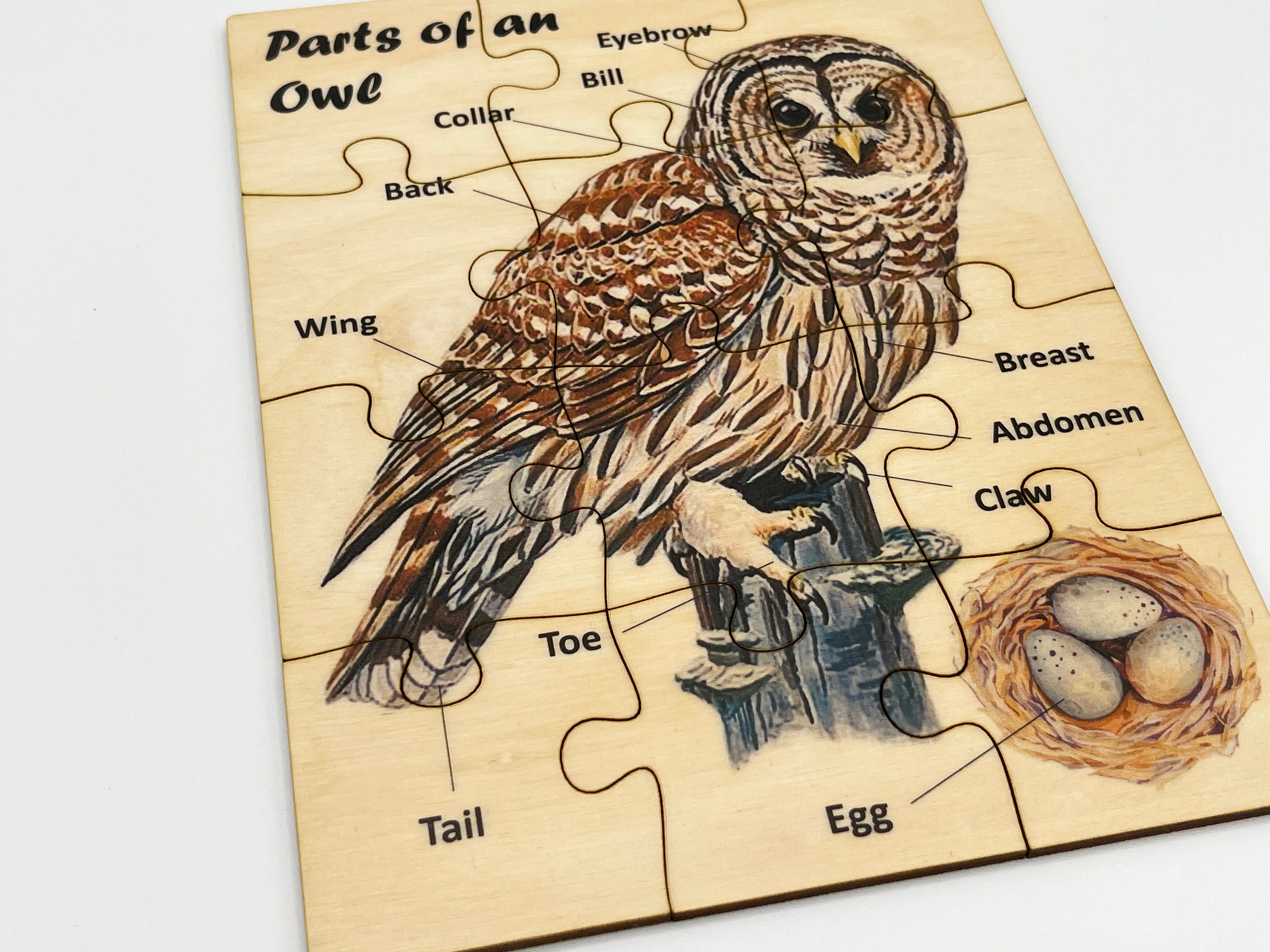 Montessori Wooden Owl Anatomy Jigsaw Puzzle/ Homeschool | Etsy