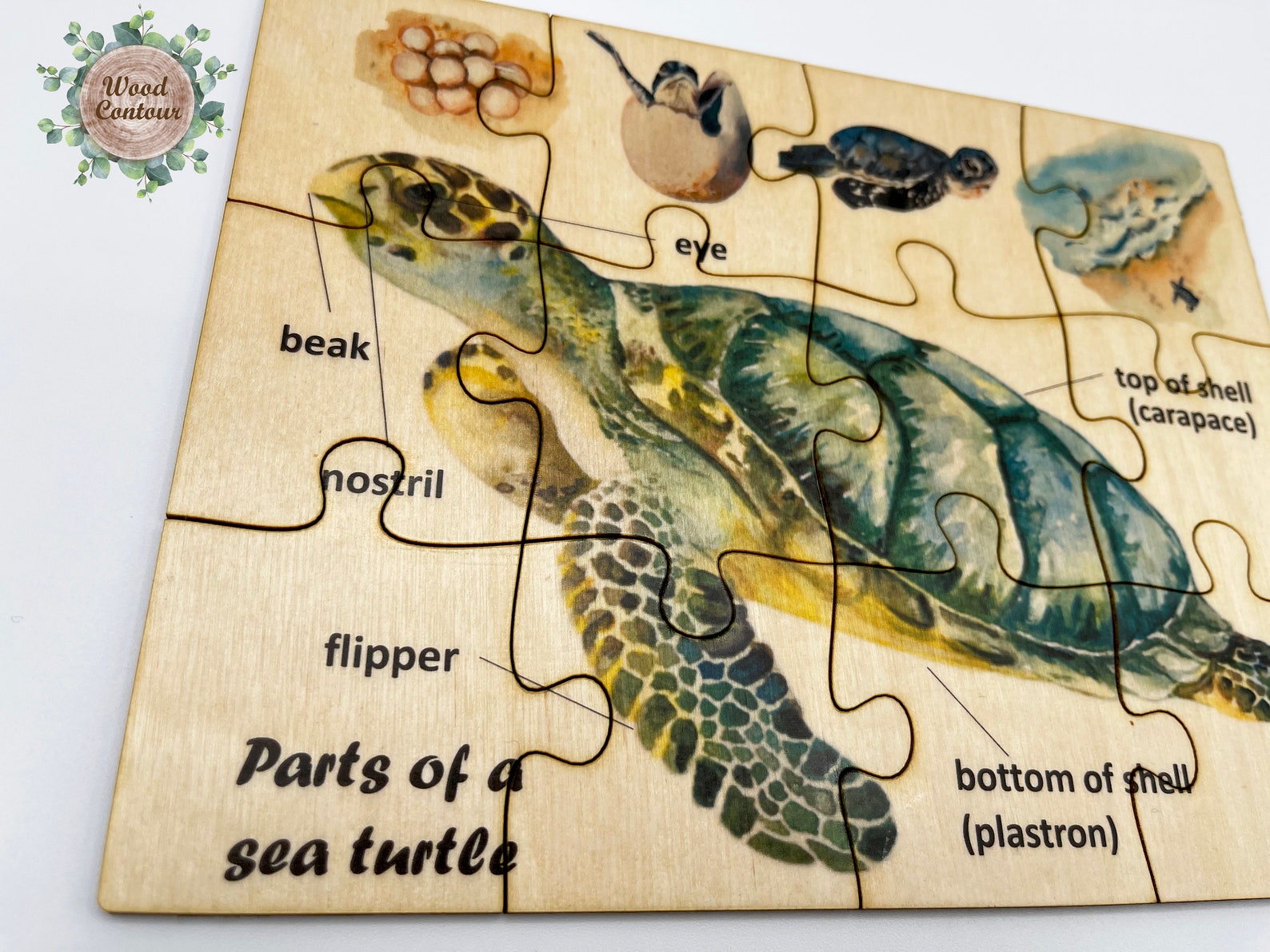 Montessori Wooden Parts of Sea Turtle Jigsaw Puzzle/ | Etsy