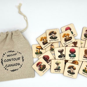 Wooden Mushroom Fungi Matching Cards, Montessori Learning Wild Mushroom ...