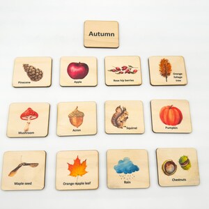 Four Seasons Matching Game/ Spring Summer Autumn Winter Matching ...