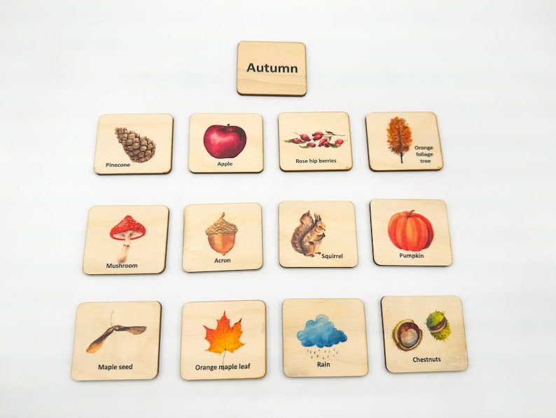 Four Seasons Matching Game/ Spring Summer Autumn Winter Matching ...