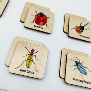 Wooden Beetle Memory Game/ Montessori Homeschool Kindergarten ...