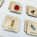 Wooden Beetle Memory Game/ Montessori Homeschool Kindergarten ...