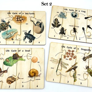 Montessori Life Cycle Puzzle Set/ Kids Learning Activity/ Homeschool ...